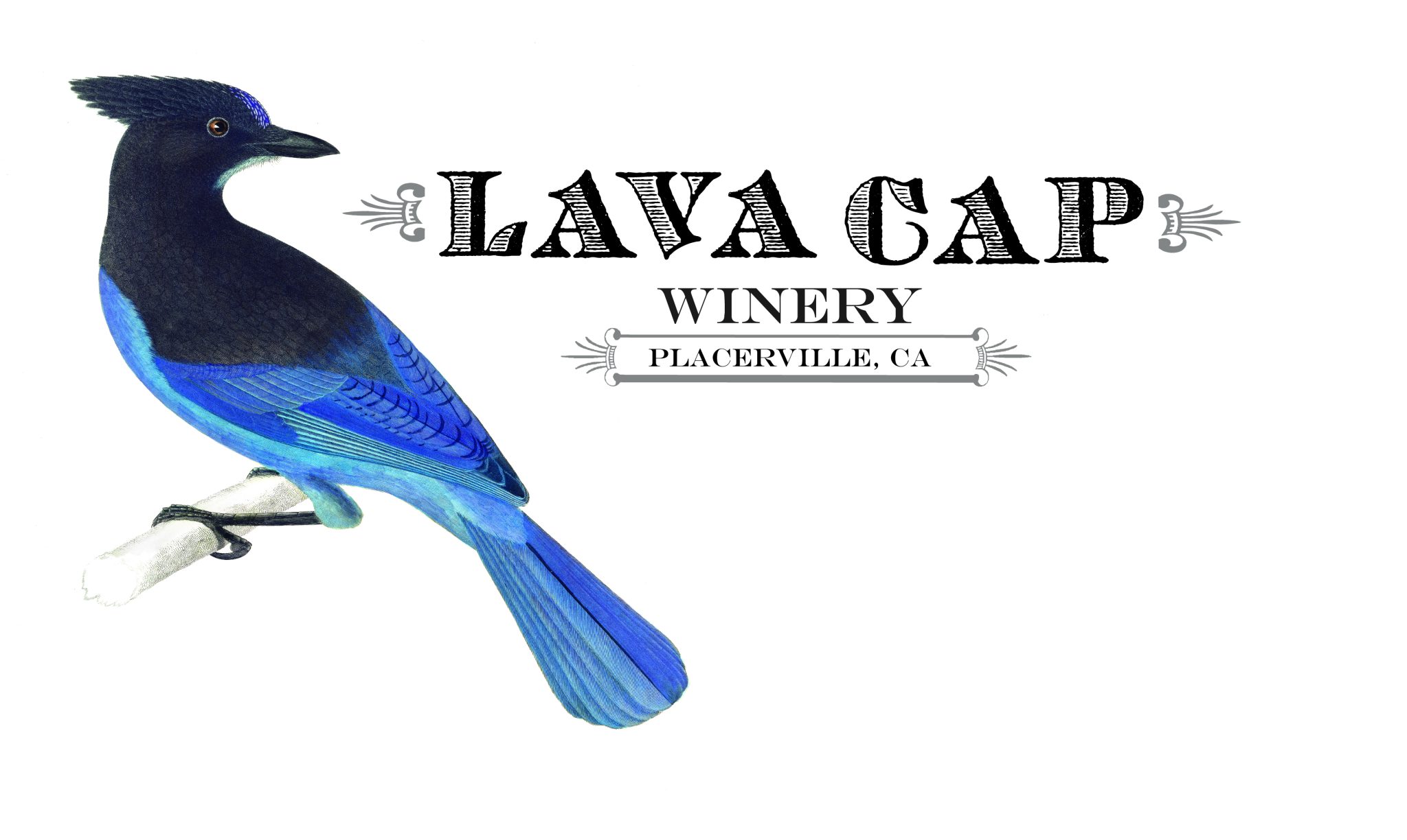 Visit Sierra Foothills AVA | California's Sierra Foothills Wineries